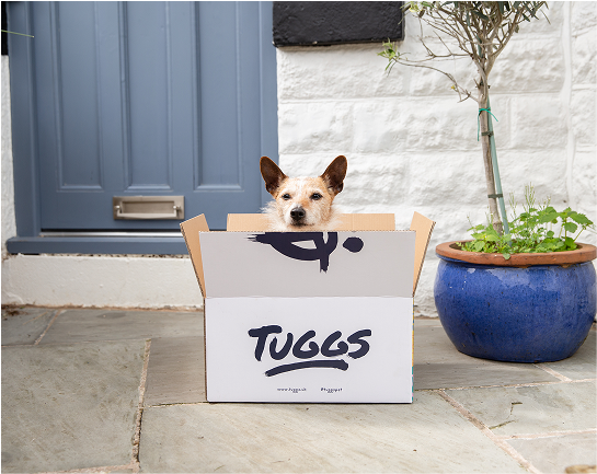 How Fresh Dog Food Delivery Works — Personalised Plans | Tuggs | Tuggs