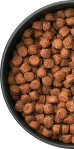 Tuggs | Freshly-Prepared Dog Food Delivery | Award-Winning