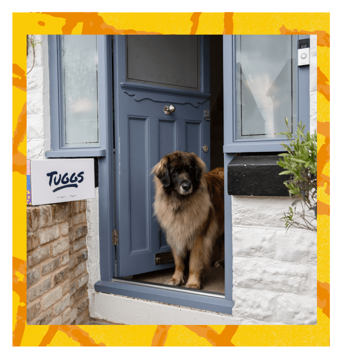 Tuggs | Freshly-Prepared Dog Food Delivery | Award-Winning