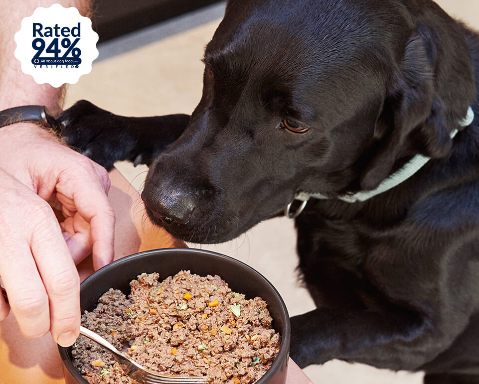 Tuggs | Freshly-Prepared Dog Food Delivery | Award-Winning