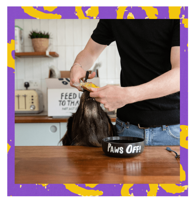 Tuggs | Freshly-Prepared Dog Food Delivery | Award-Winning